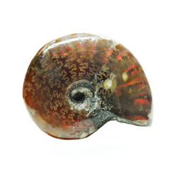 Rote Edelsteine Liste | Bedeutung & Wirkung roter Heilsteine – Steine ...